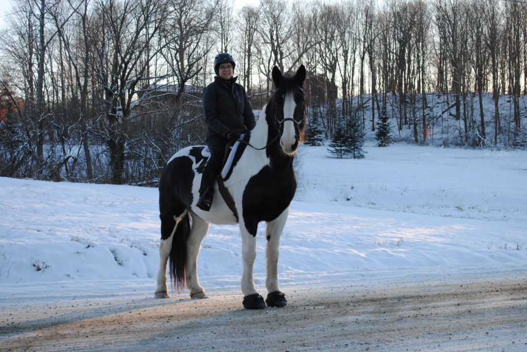 Cavallo Trek Hoof Boots – Product Review – Horse Trail Chicks