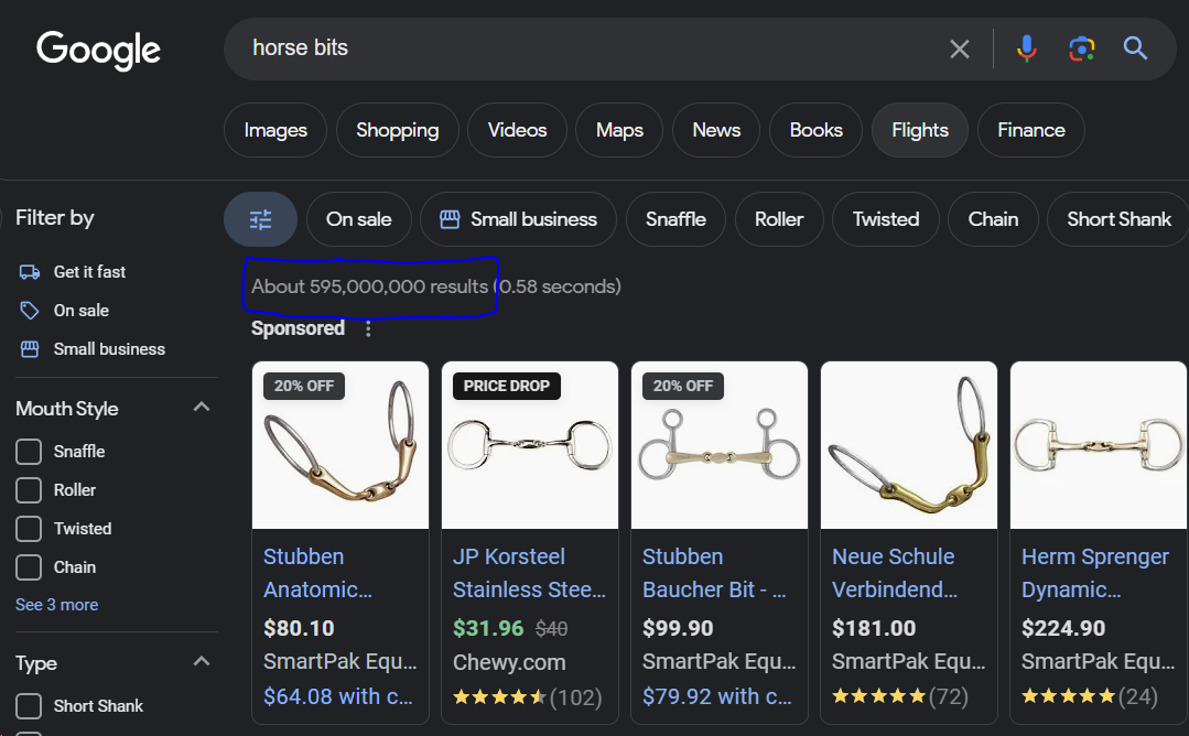 Bit and Bridle Fitting – Horse Trail Chicks